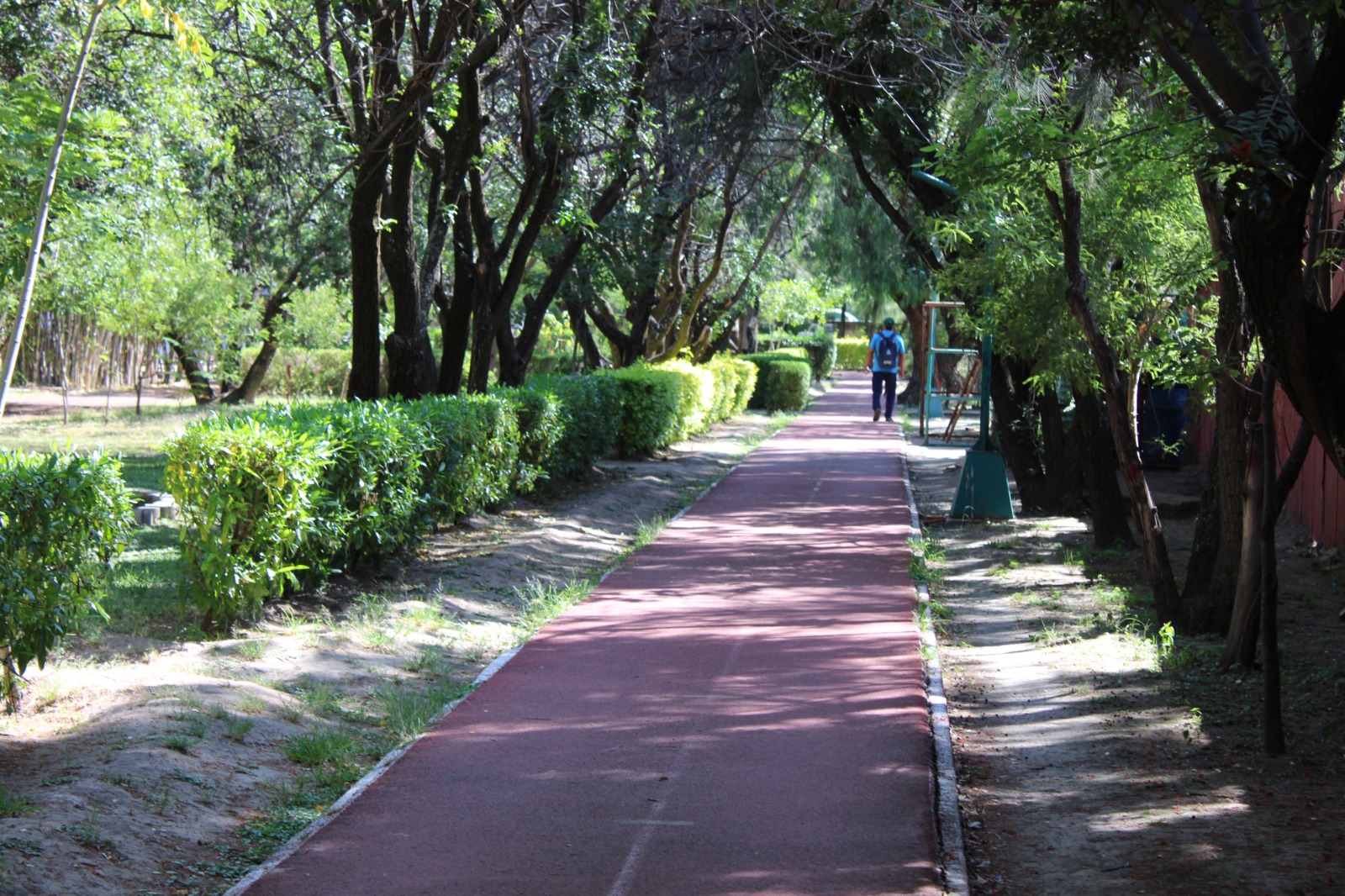 Parque Xochipilli de Celaya abrirá en Navidad y Año Nuevo con horarios ...